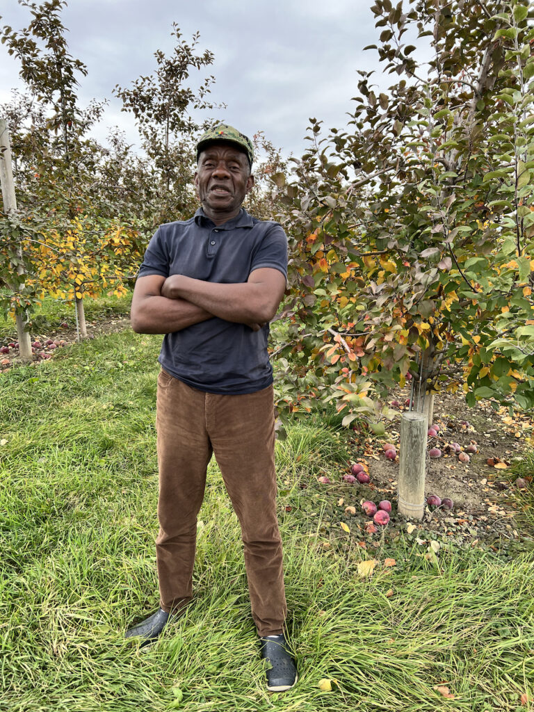 Jamaican workers – a vital and welcome part of our community | The Peru ...