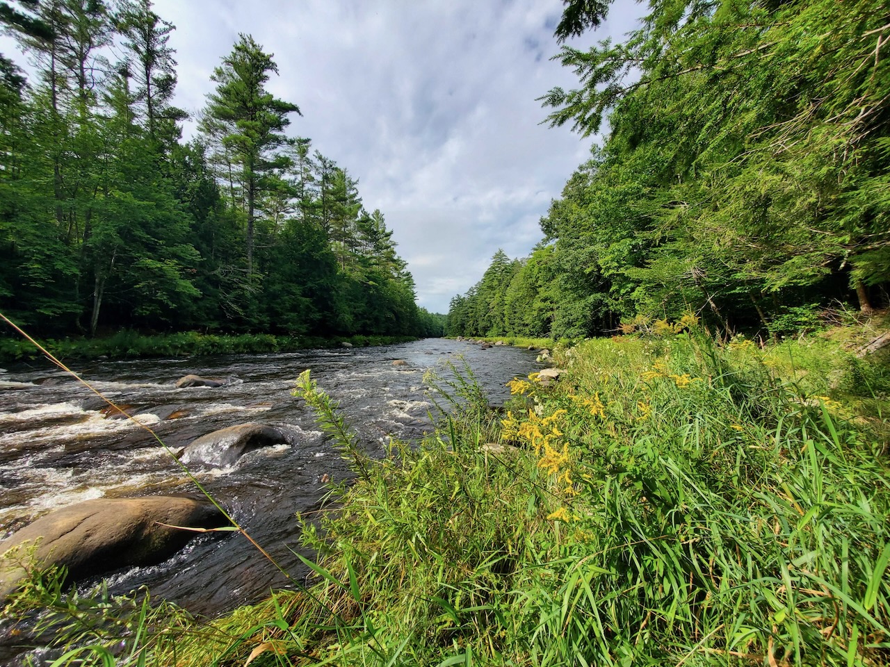 Free Streamside Property Assessments | The Peru Gazette
